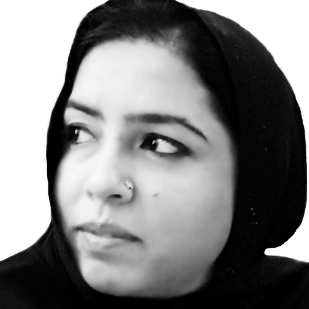 Has the Judicial System Legitimized Undemocratic Systems in the Past?