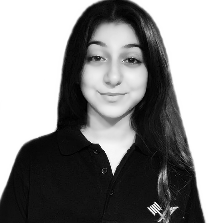 A Critique On Article 2A Of The Constitution - Courting The Law