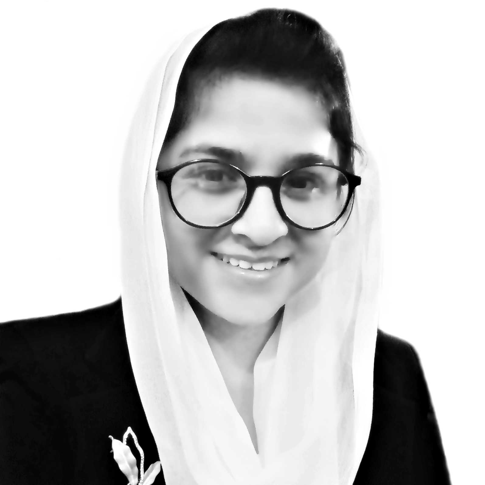 Cybercrime – A Spider Web - Courting The Law