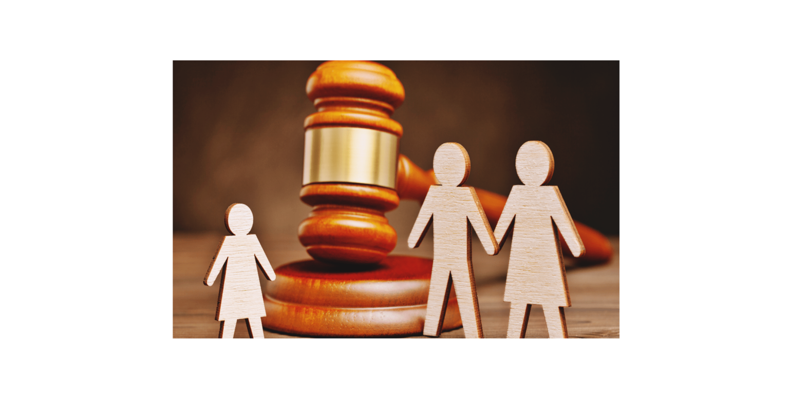 Analysing the Protection of Parents Ordinance 2021 - Courting The Law